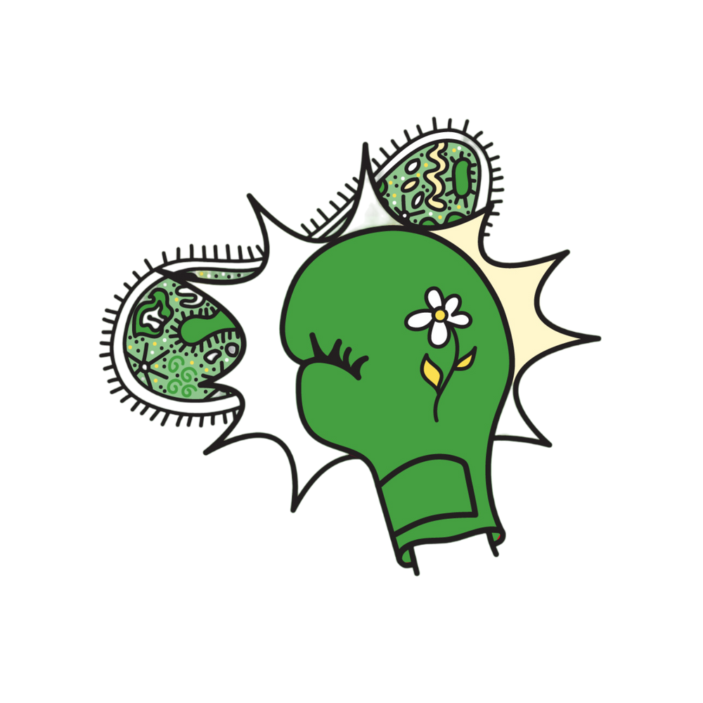 ClearLife Allergy Relief - 60 Tablets